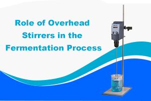 Complete Guide to What Bioreactors Are and How it Work
